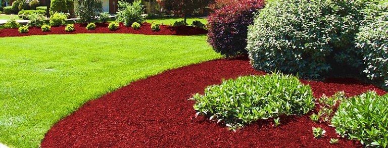 Técnicas apropiadas para aplicar el mulch - Arpasa