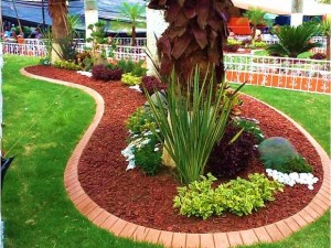 Técnicas apropiadas para aplicar el mulch - Arpasa